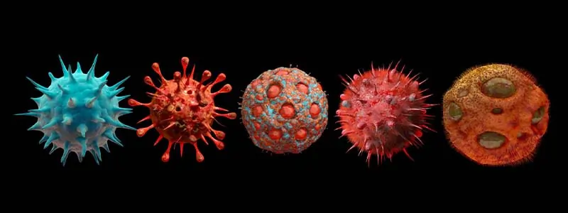 JN.1 COVID Variant: What You Need to Know - Cureasy Healthcare